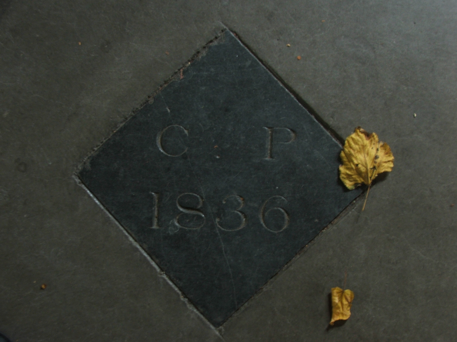 Cesar Picton – An Historier's Miscellany